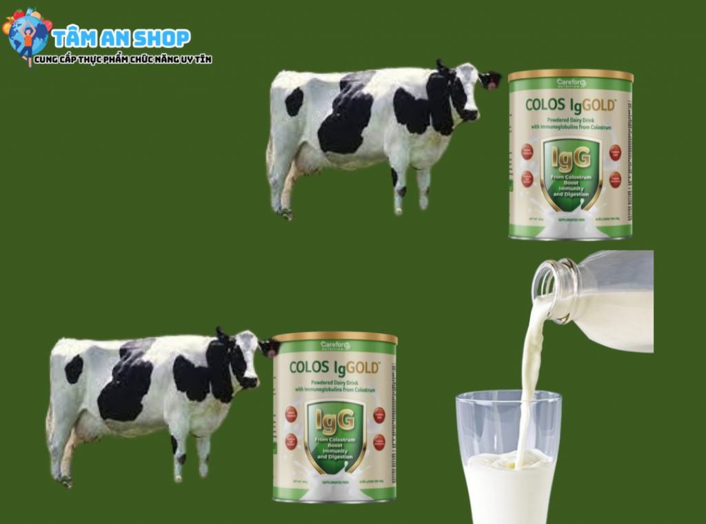 Sữa Non Colos IGGold - Giá 2024 của Colos IG Gold % —Quà Tặng Hàn Quốc